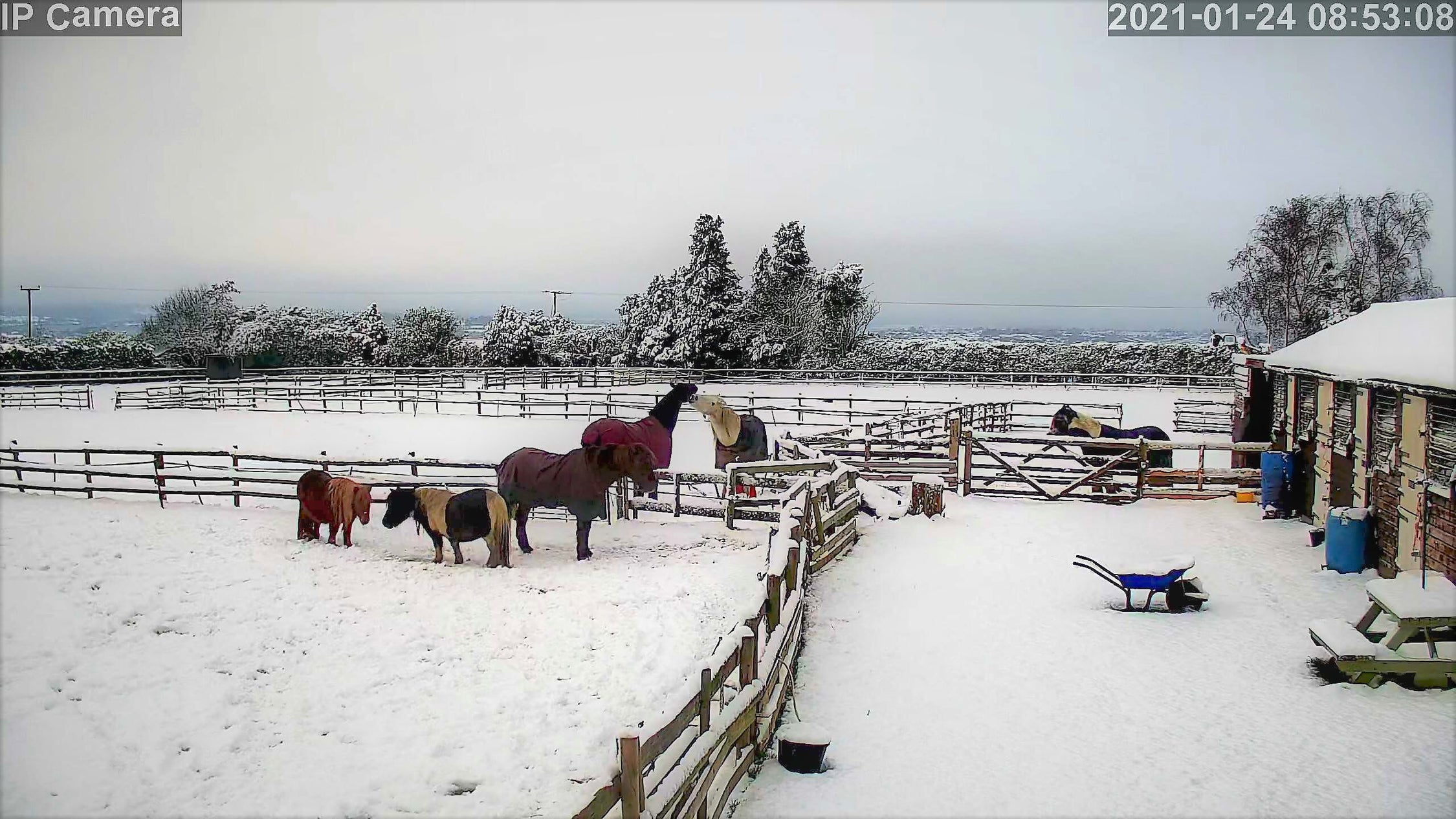 Cameras for your Horses – Farmstream